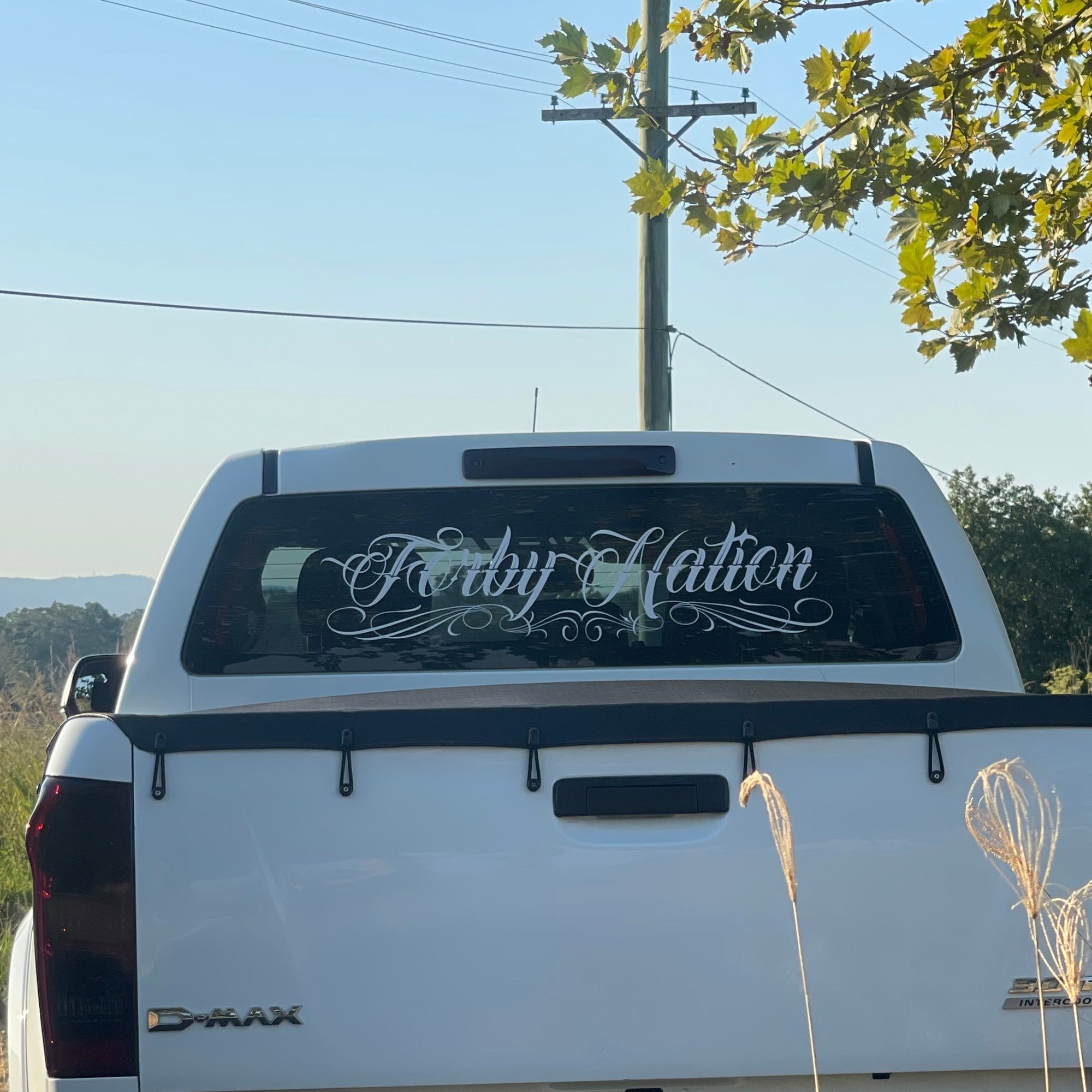 The Forby Nation